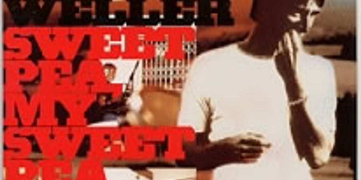 Paul Weller Sweet Pea My Sweet Pea UK Promo CD single — RareVinyl.com